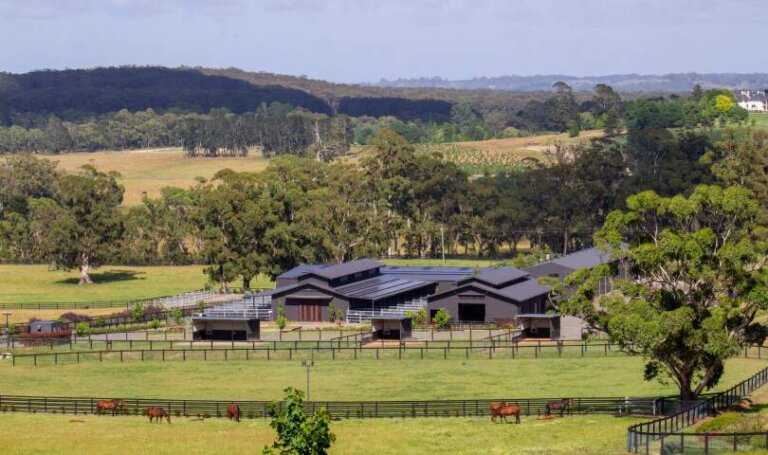Silverdale Farm